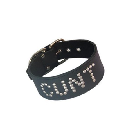 Text Collar - World Wide Instrument Company