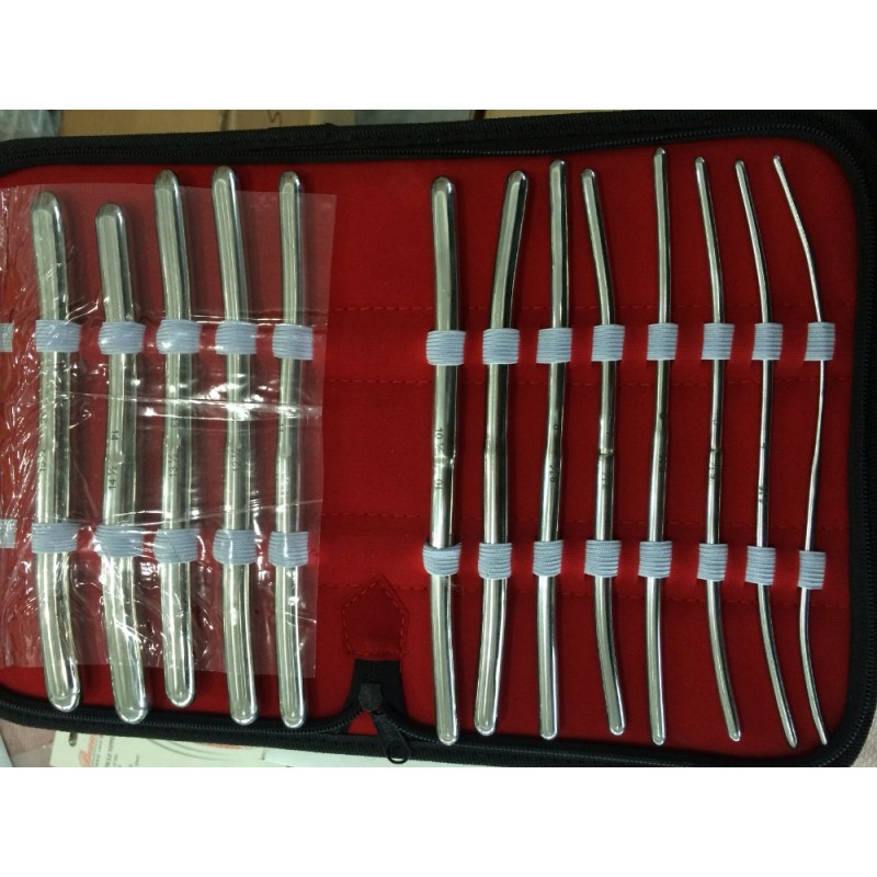 UTERINE HEGAR DILATOR SET OF 13 - World Wide Instrument Company